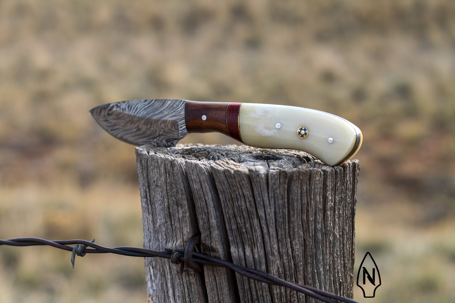 Pack Knife – Next Level Outdoors